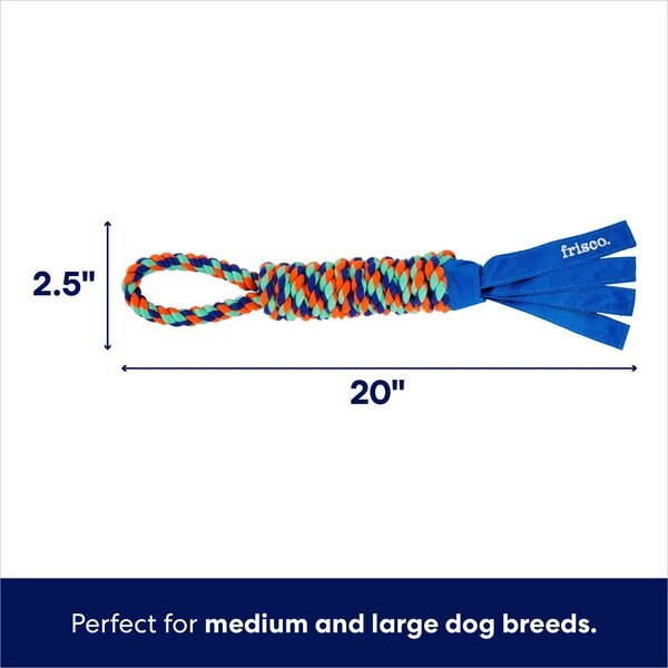 FRISCO Rope with Handle & Tassels Dog Toy, Medium/Large - Chewy.com