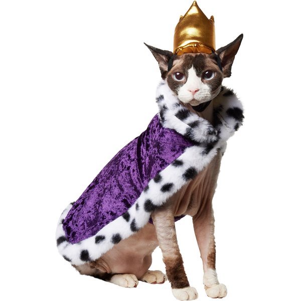 Out of Stock - FRISCO Royal King Dog & Cat Cape Costume, X-Small/Small ...