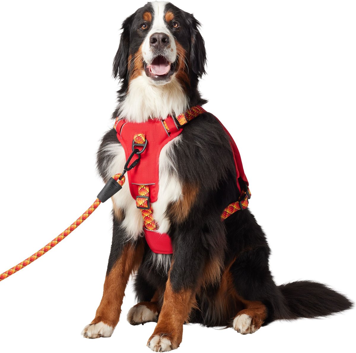 FRISCO Rugged Day Pack Harness with Reflective Straps, Red, XX-Large/XXX-Large - Chewy.com