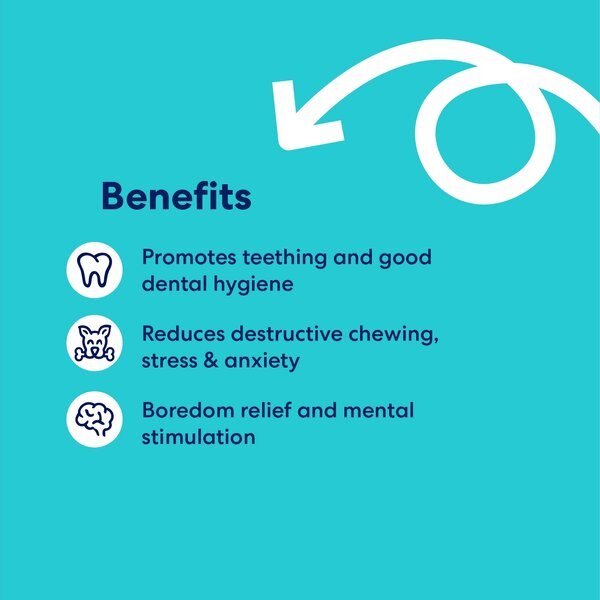 FRISCO Salmon Flavored Interlocking Fish Nylon & TPR Dental Teether ...