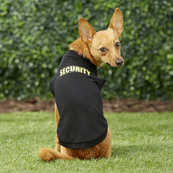 FRISCO Security Dog & Cat T-Shirt, Jet Black, Small - Chewy.com
