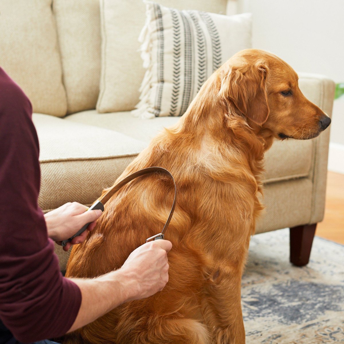 FRISCO Shedding Blade Dog Brush, One Size - Chewy.com