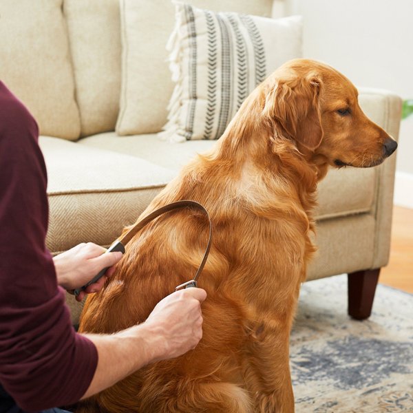 FRISCO Shedding Blade Dog Brush, One Size - Chewy.com