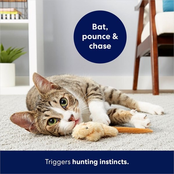 FRISCO Skinny Mouse Plush Cat Toy with Catnip, Brown - Chewy.com