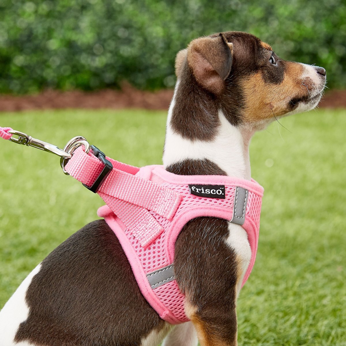 FRISCO Small Breed Soft Vest Step In Back Clip Dog Harness, Pink, 11 to ...