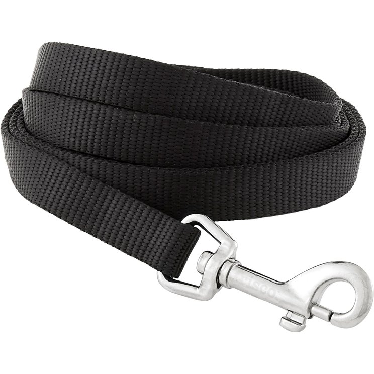 DOG LEASHES FOR SMALL DOGS (Free Shipping) | Chewy