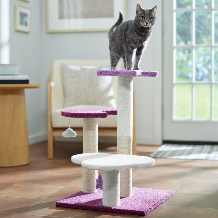 WHITE CAT TREES CONDOS (Free Shipping) | Chewy
