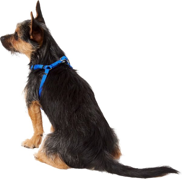 FRISCO Step In Back Clip Dog Harness, Blue, X-Small: 12 to 18-in chest ...