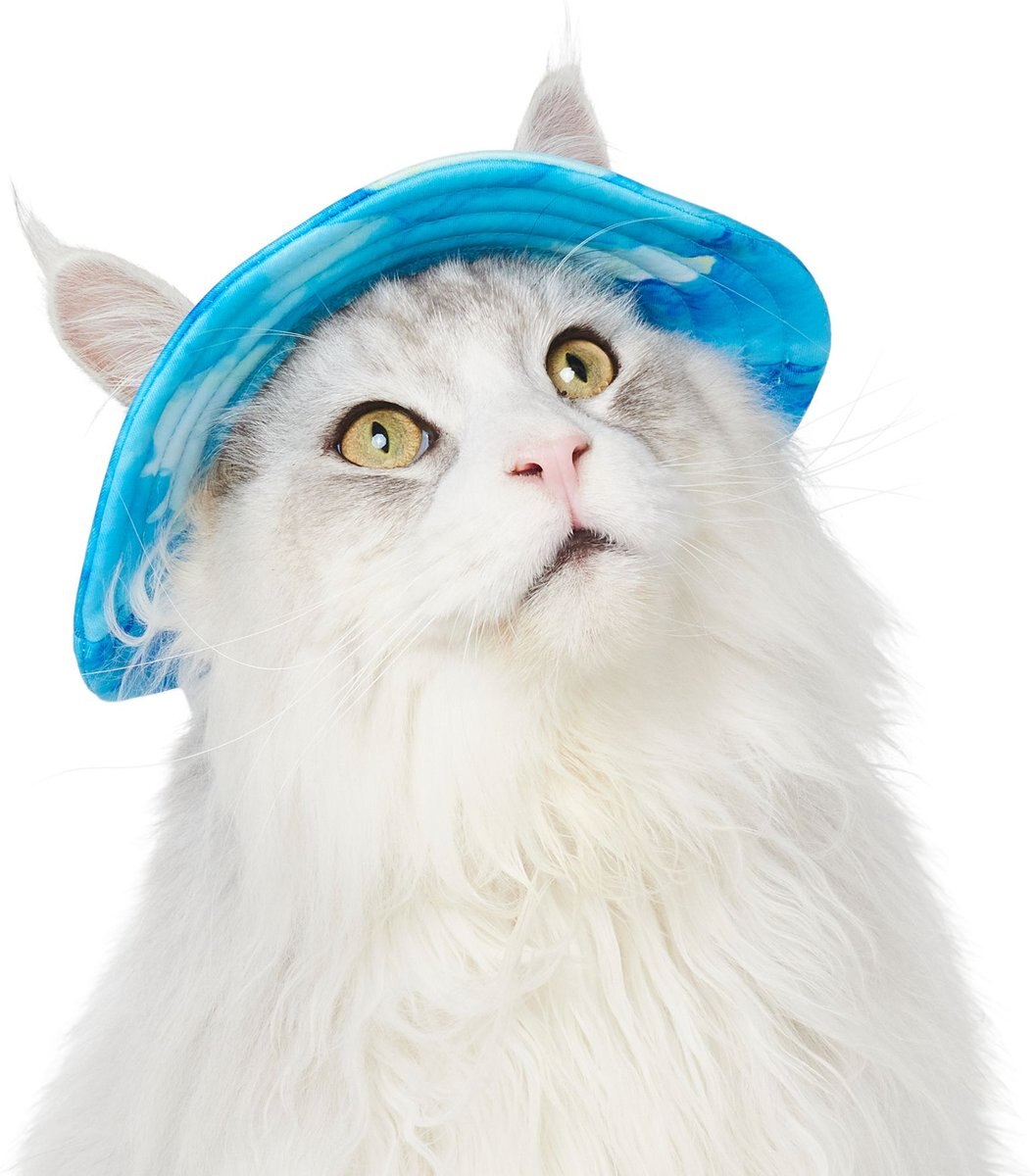 FRISCO Summer UPF 45 Cooling Dog & Cat Bucket Hat, River Watercolor, X ...