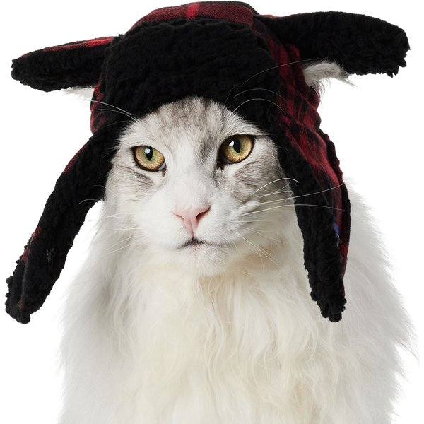 FRISCO Confetti Dog & Cat Birthday Hat, X-Small/Small - Chewy.com