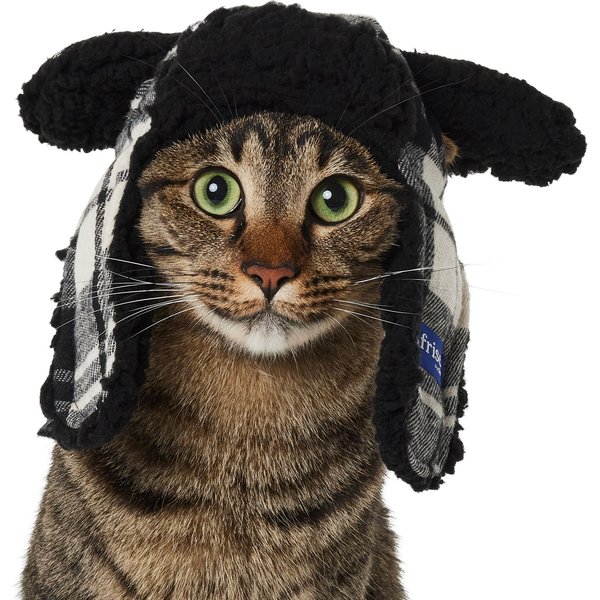 FRISCO Cupcake Party Hat & Ruffle Collar Cat Birthday Accessory, One ...