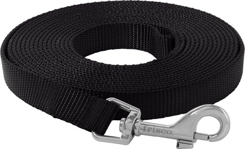 Dog Leashes: Retractable, Training & More (Free Shipping) | Chewy