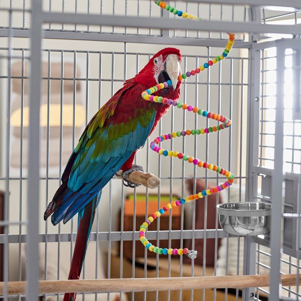Discontinued - FRISCO Twisted Fun Bird Toy - Chewy.com