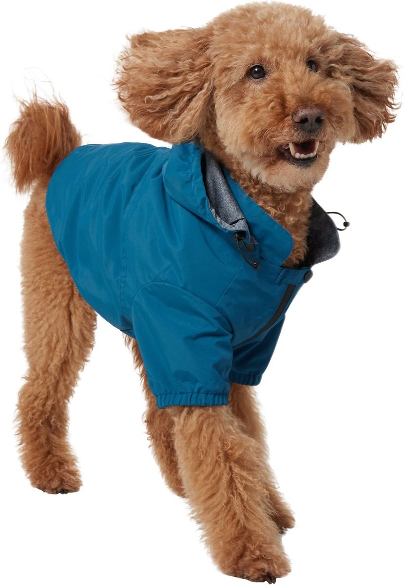 FRISCO Ultra Lightweight Dog & Cat Windbreaker with Removable Hood ...