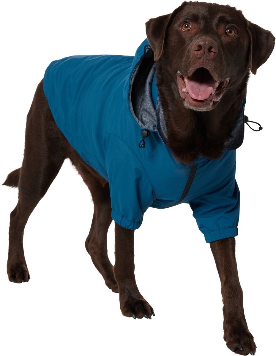 FRISCO Ultra Lightweight Dog & Cat Windbreaker with Removable Hood ...