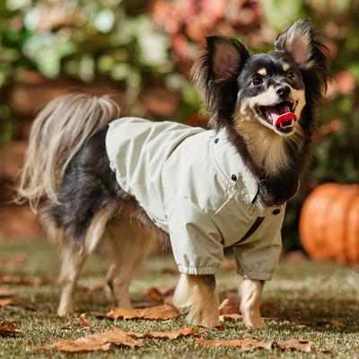 FRISCO Ultra Lightweight Dog & Cat Windbreaker with Removable Hood ...