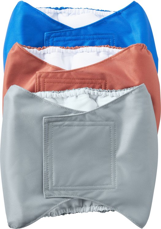 MALE DOG DIAPERS & WRAPS (Free Shipping) | Chewy