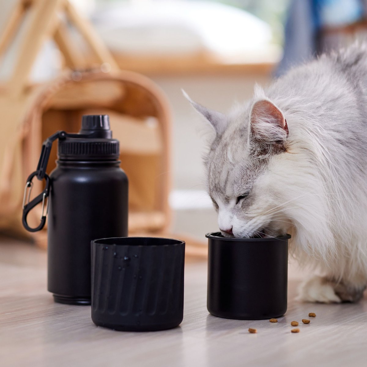 FRISCO Water Bottle with Treat Food Container, Black - Chewy.com