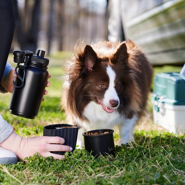 FRISCO Water Bottle with Treat Food Container, Black - Chewy.com