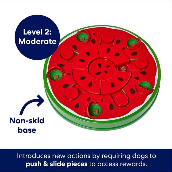FRISCO Watermelon Interactive Puzzle Dog Toy, Level 2 - Chewy.com
