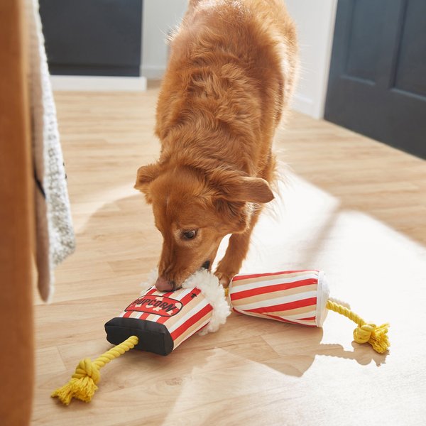 FRISCO Zoomies & Chill Theatre Snacks Rope with Plush Squeaky Dog Toy ...