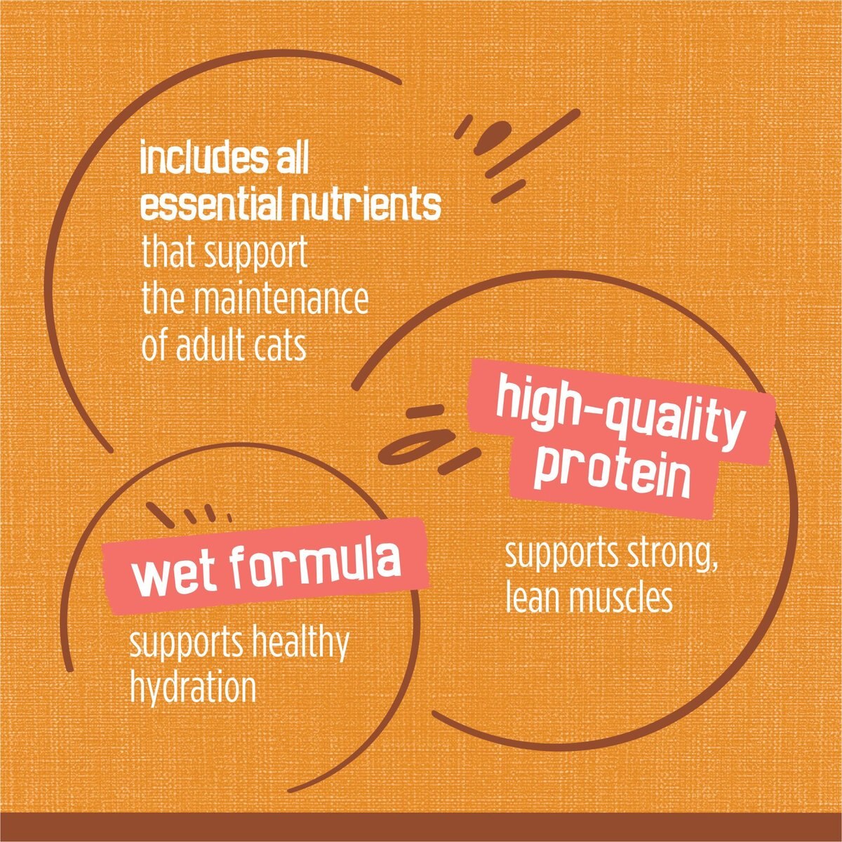 FRISKIES Extra Gravy Chunky with Chicken in Savory Gravy Canned Cat ...