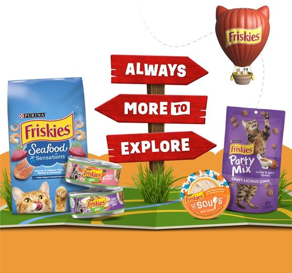 FRISKIES Lil' Soups with Sockeye Salmon in a Velvety Chicken Broth ...