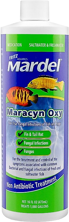 Fish Medicine | Chewy