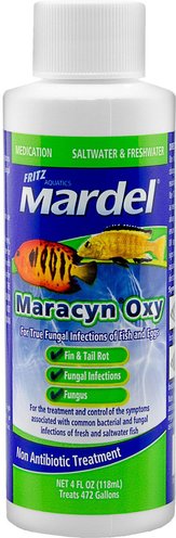 Fish Medicine | Chewy