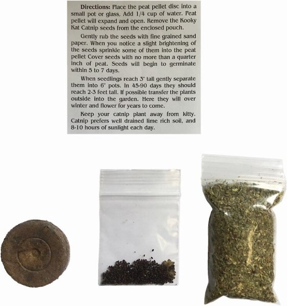 FROM THE FIELD Grow Your Own Catnip Plant Kit - Chewy.com
