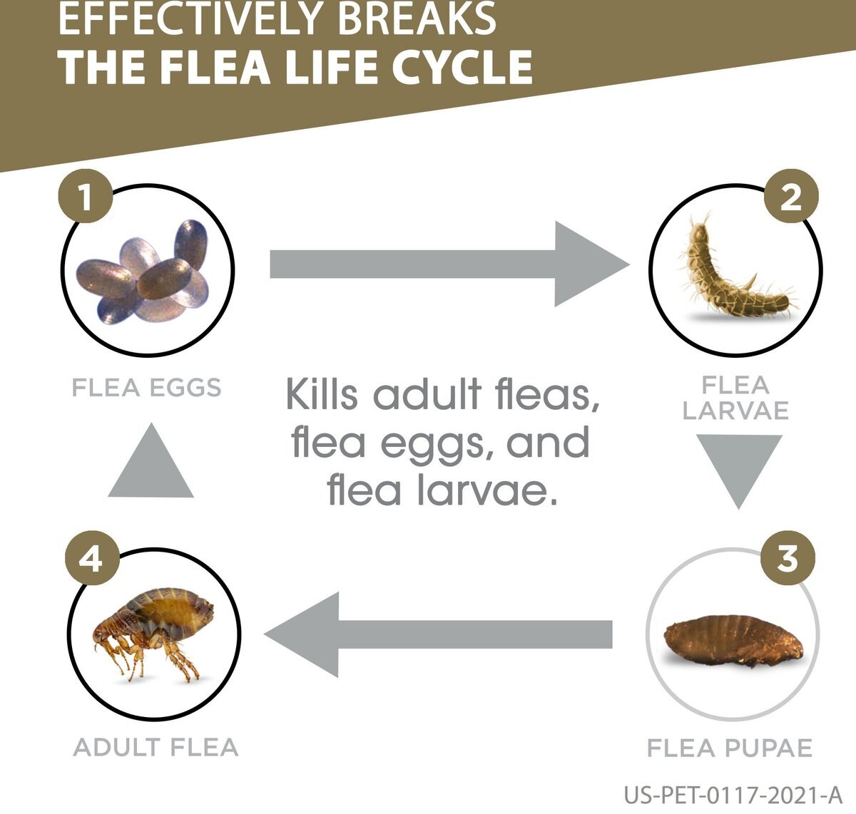 FRONTLINE GOLD for Dogs Flea & Tick Treatment (Medium Dog, 23-44 lbs ...