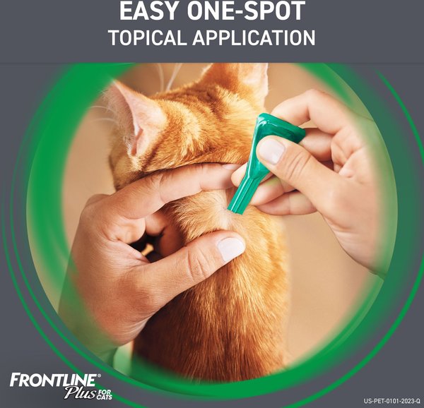 FRONTLINE PLUS Flea & Tick Spot Treatment for Cats, over 1.5 lbs, 3 ...