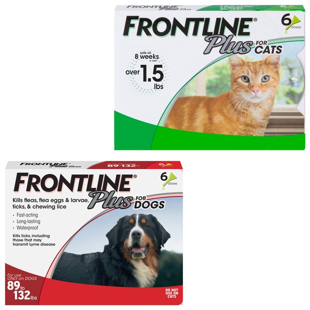 Frontline: Flea & Tick Treatment for Cats & Dogs (Free Shipping) | Chewy