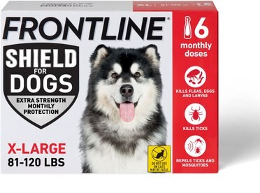 Frontline Shield for Dogs - Free shipping | Chewy