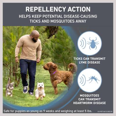 FRONTLINE SHIELD Flea & Tick Treatment for Large Dogs, 41 - 80 lbs, 12 ...