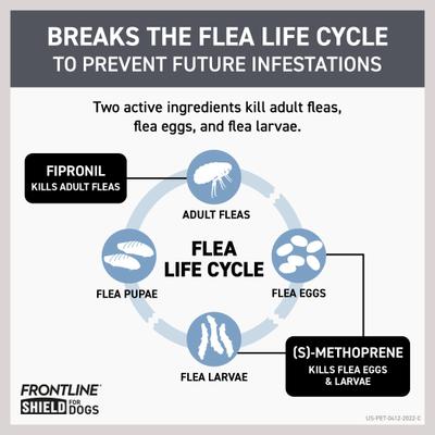 FRONTLINE SHIELD Flea & Tick Treatment for Large Dogs, 41 - 80 lbs, 12 ...