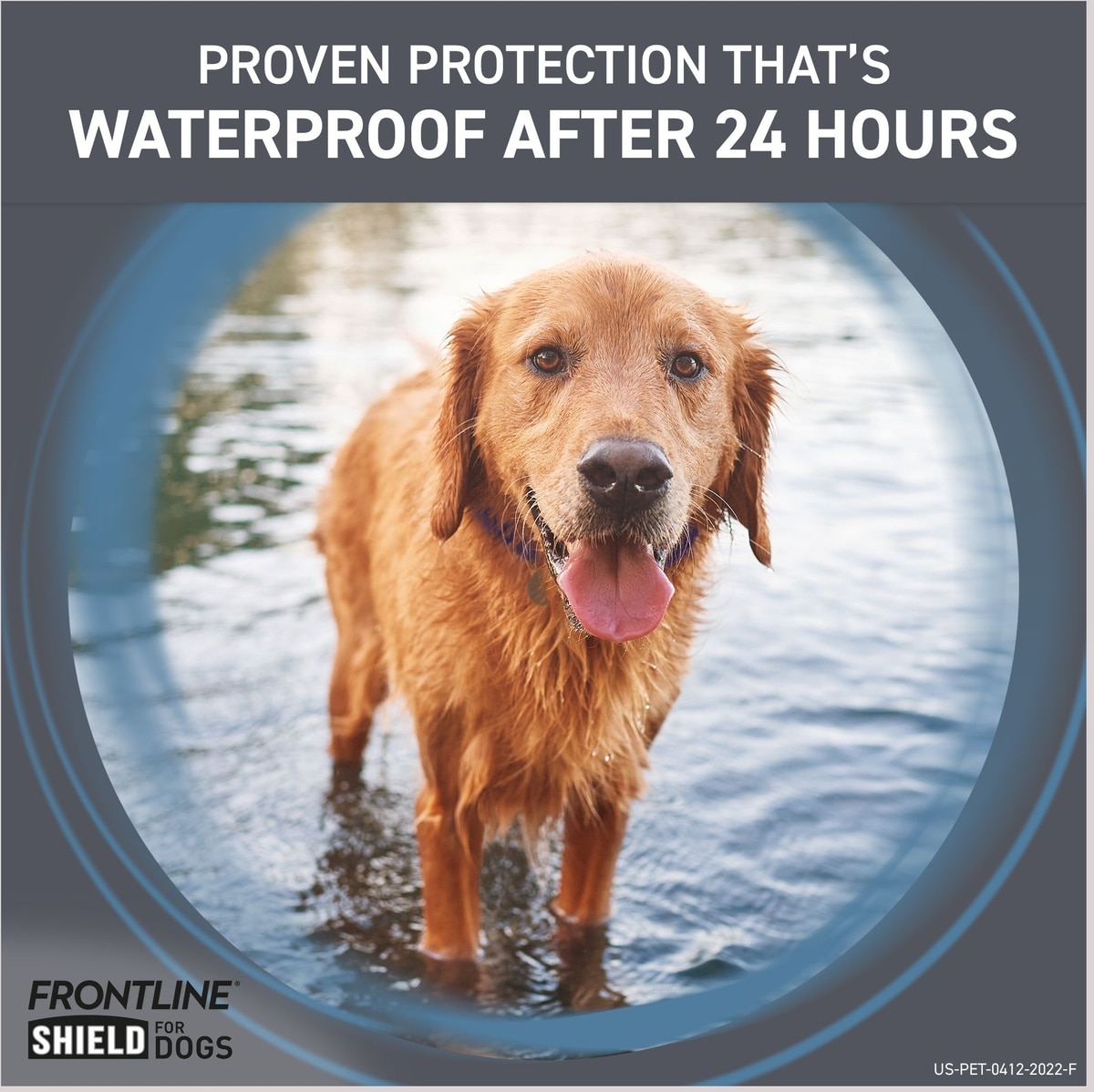 FRONTLINE SHIELD Flea & Tick Treatment for Large Dogs, 41 - 80 lbs, 12 ...