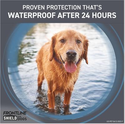 FRONTLINE SHIELD Flea & Tick Treatment for Large Dogs, 41 - 80 lbs, 12 ...