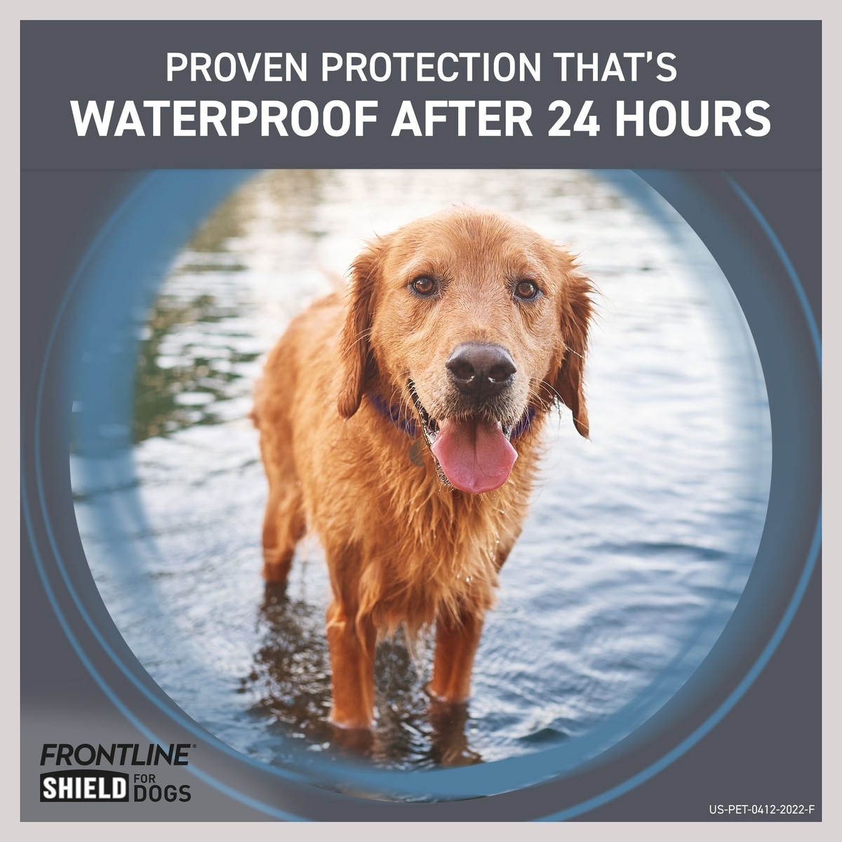 FRONTLINE SHIELD Flea & Tick Treatment for Large Dogs, 41 - 80 lbs, 12 ...