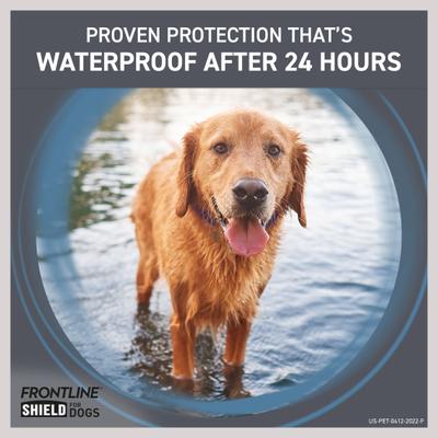 FRONTLINE SHIELD Flea & Tick Treatment for Large Dogs, 41 - 80 lbs, 12 ...