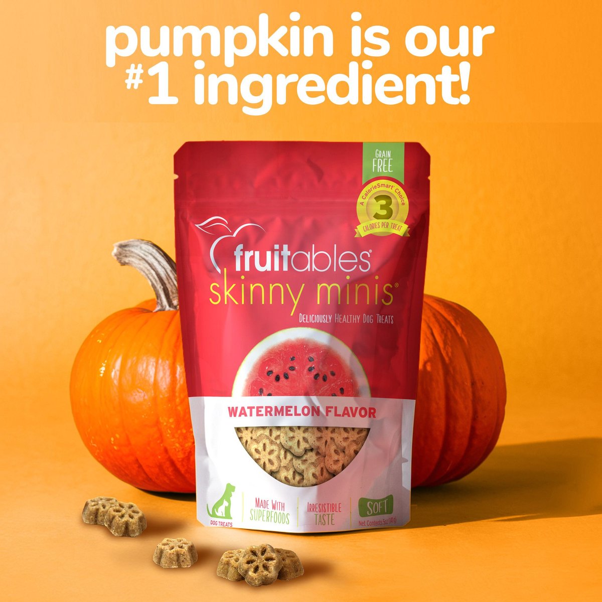 FRUITABLES Skinny Minis Watermelon Flavor Soft & Chewy Dog Treats, 5-oz ...