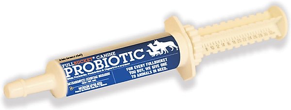 FULLBUCKET HEALTH Canine Probiotic Paste Supplement for Dogs, 1 count - Chewy.com