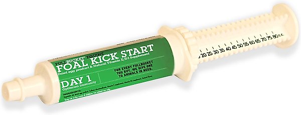 FULLBUCKET HEALTH Equine Foal Kickstart Paste Horse Supplement, 80-cc tube - Chewy.com