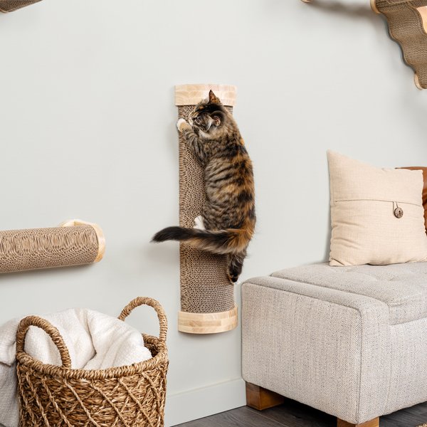 Out of Stock - ON2PETS 3-Level Wall-Mounted Activity 44-in Sisal Cat ...