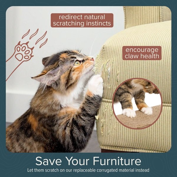 FURHAVEN Ascentials Wooden Cat Chalet with Hammock, Navy - Chewy.com