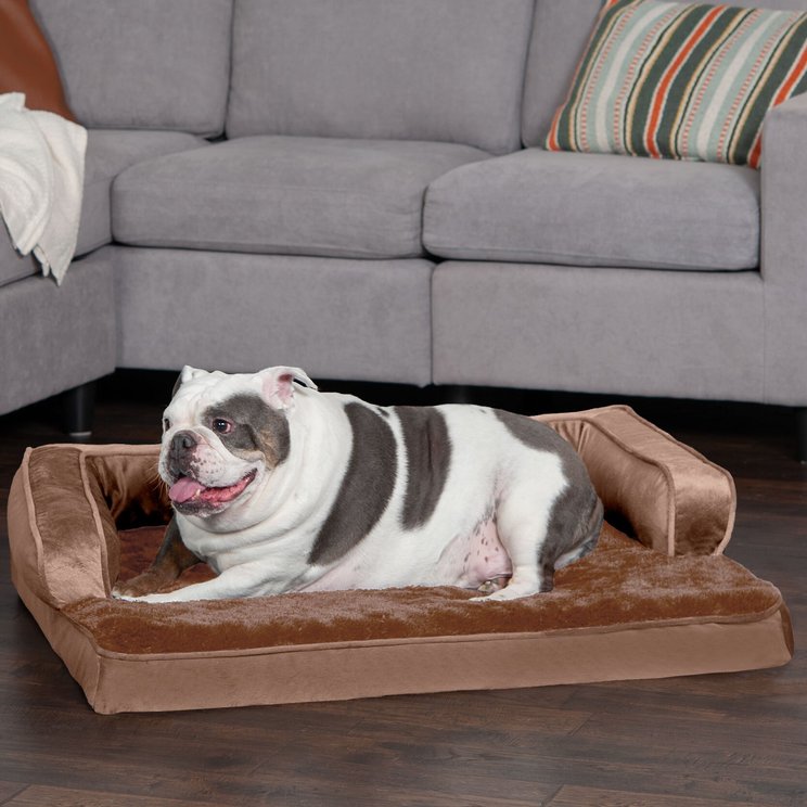 Comfy Dog Beds (Free Shipping) | Chewy