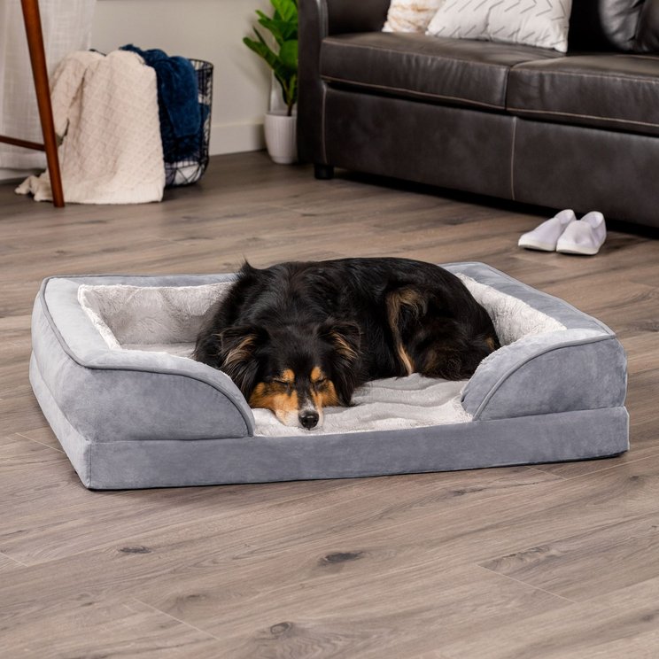Best Dog Orthopedic Beds: Flat or Bolstered (Free Shipping) | Chewy