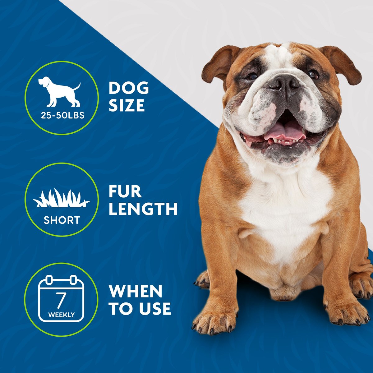 FURMINATOR Short Hair Dog Deshedding Tool, Orange, Medium - Chewy.com