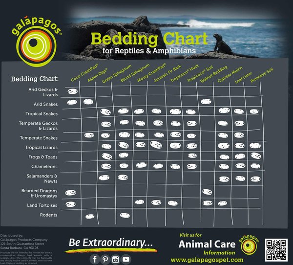 GALAPAGOS Aspen Digs Natural Aspen Reptile Terrarium Bedding, 8-qt bag ...