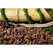 GALAPAGOS Jurassic Fir Bark Reptile Terrarium Bedding, 8-qt bag, 8-qt ...